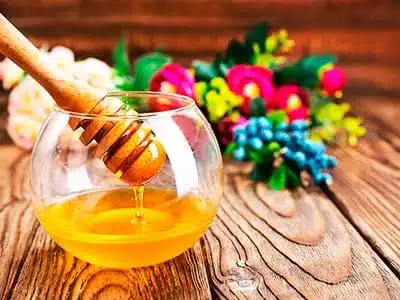 Receitas com Mel: Confira 5 opções de receitas no dia a dia - MN Própolis